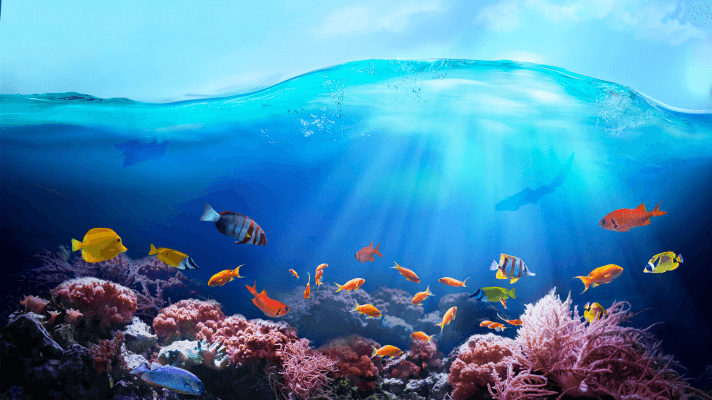 Valuing Differences In Relationships: How Diversity Can Strengthen Your ...